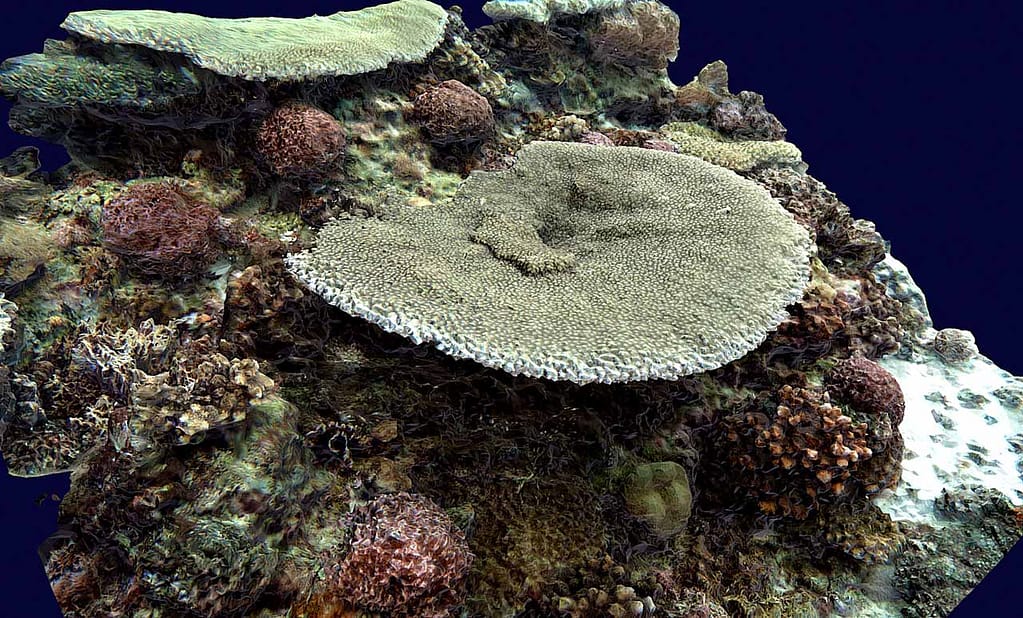 Photogrammetry Survey Philippines | BlueNomads.Org Hydrography